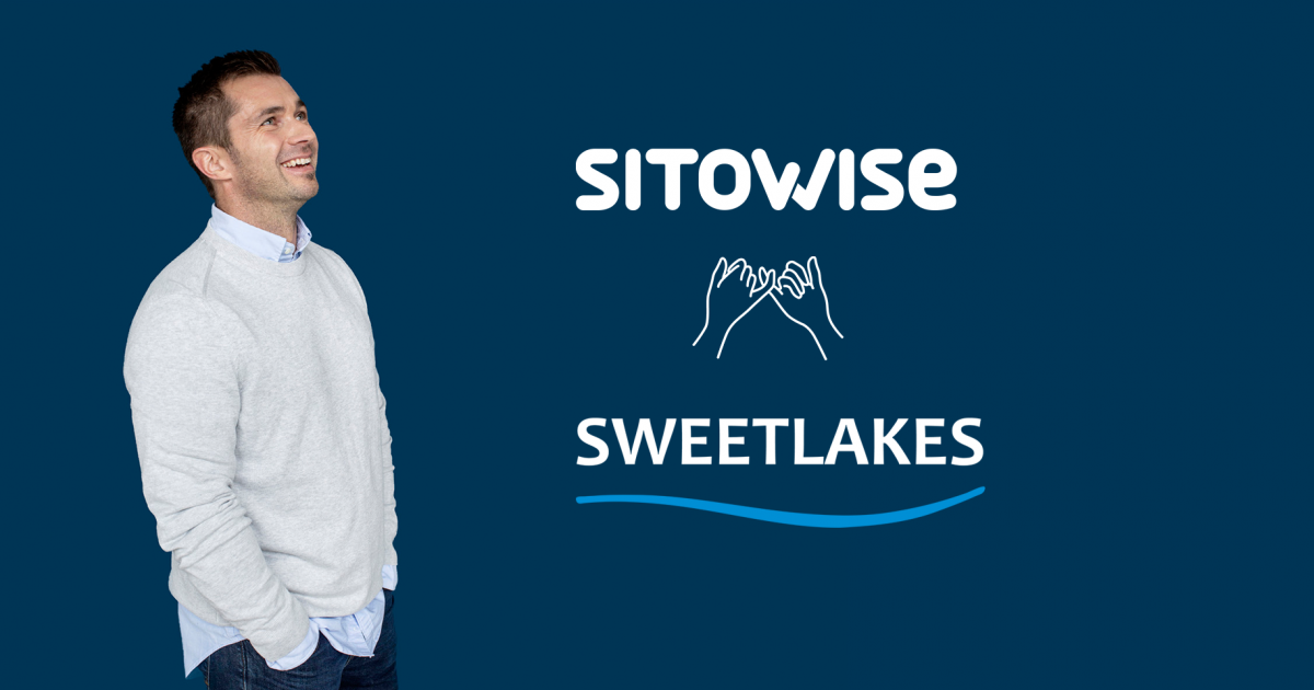 Sitowise strengthens its position in the IT sector - acquisition of ...