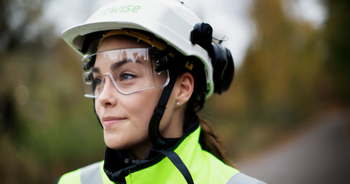 Sitowise selected as EIA and zoning consultant for a new energy storage ...