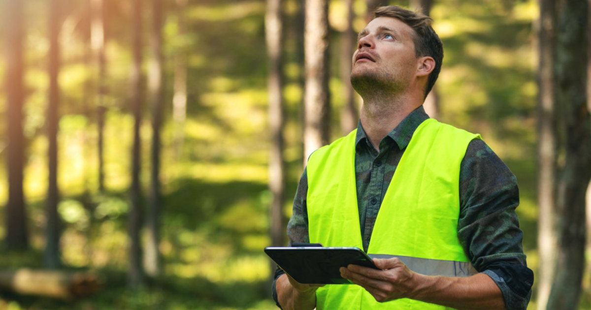 Sitowise to deliver Metsähallitus' new road system | Sitowise