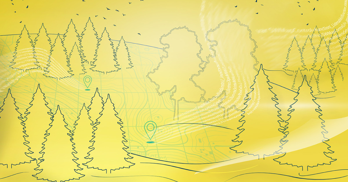 Foresta - forest system for experts | Sitowise